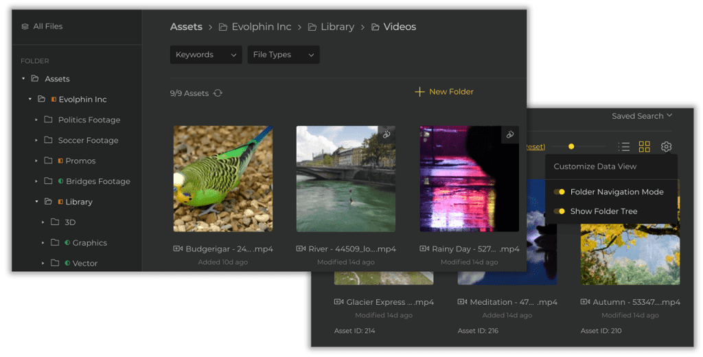 The Desktop Browser 8.0 - Evolphin Blog