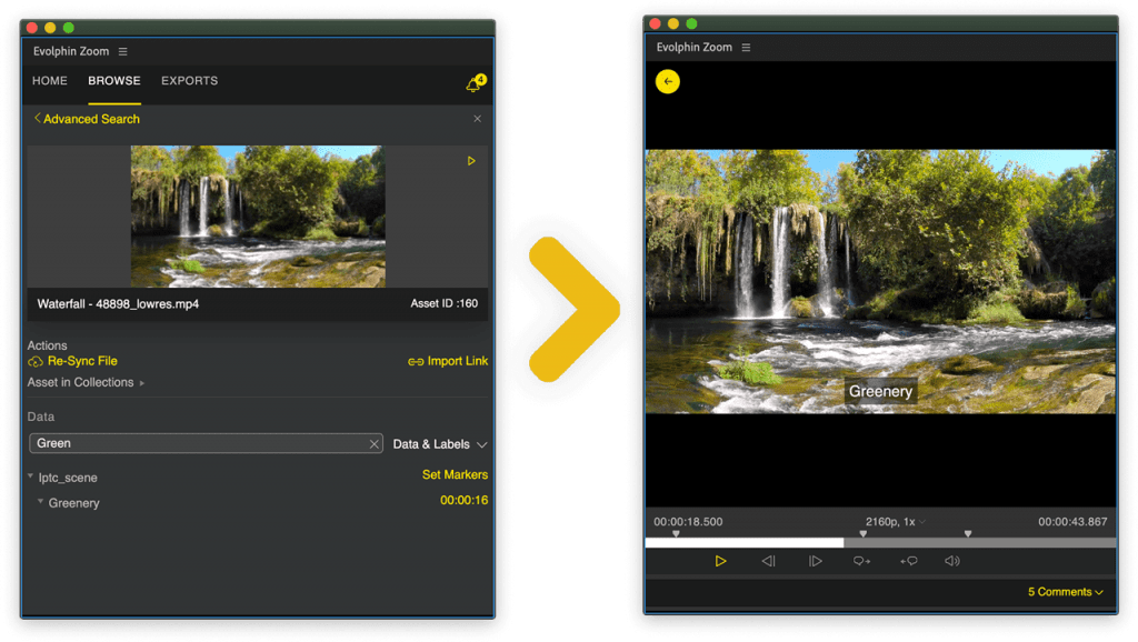 Adobe CC Plugins in 8.0 - Evolphin Blog