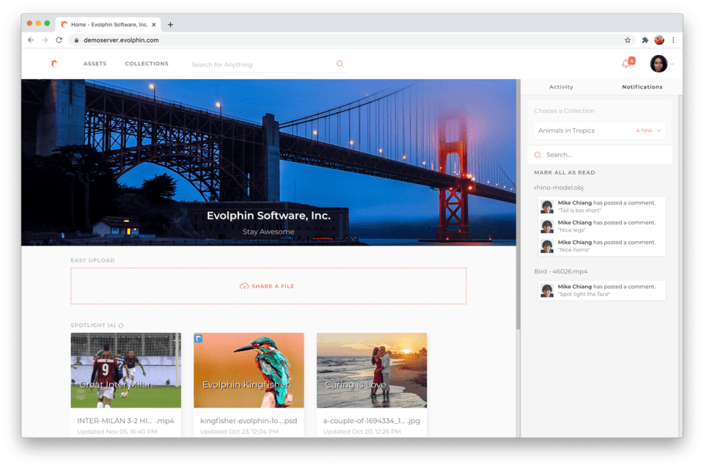 Web Client 8.0 - Evolphin Blog