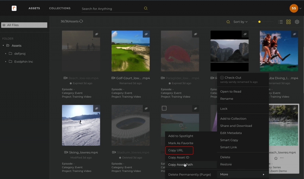 Zoom Desktop 8.2 - Evolphin Blog