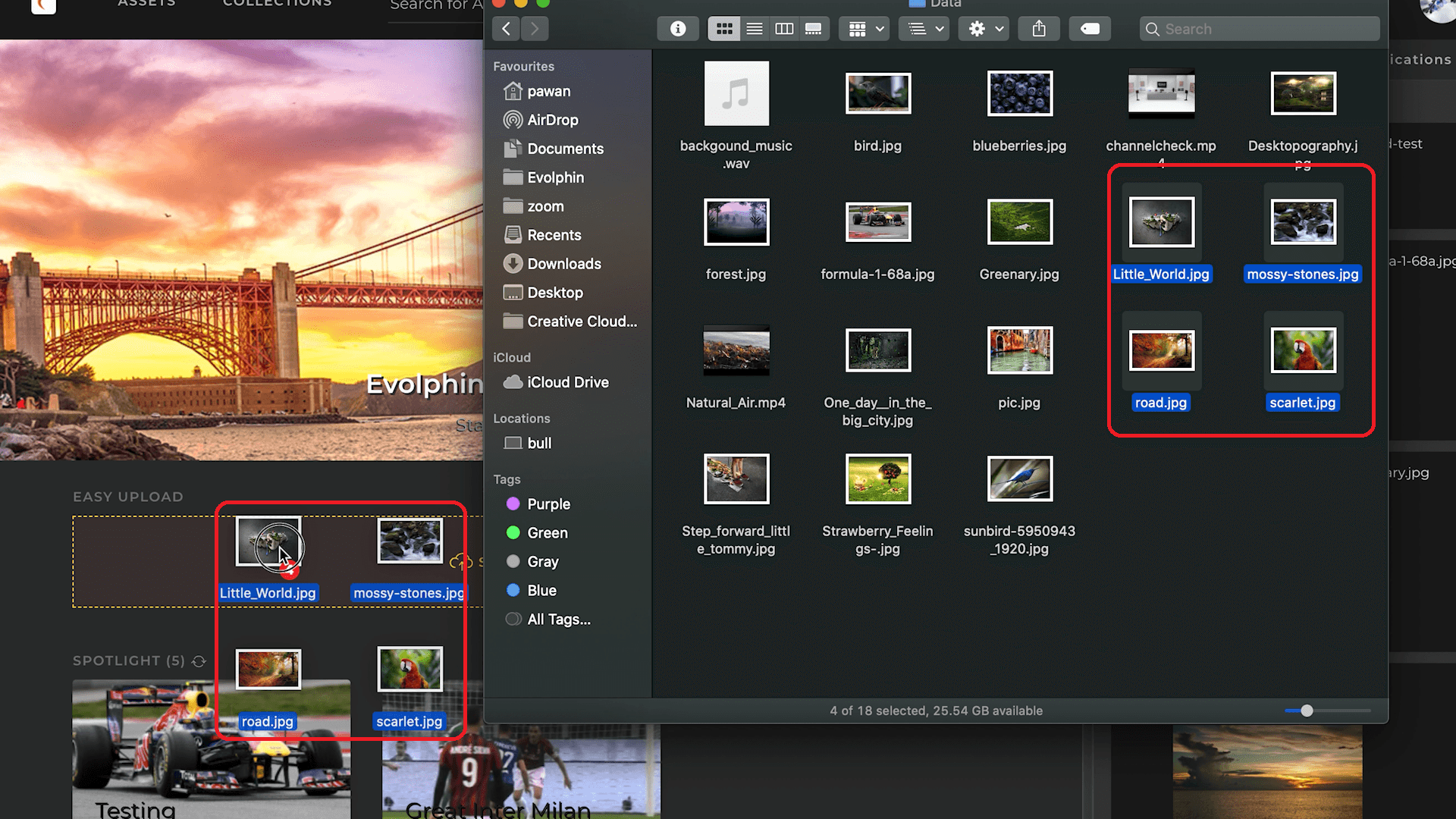 Ingest Files Using Zoom Desktop - Evolphin Learning Portal