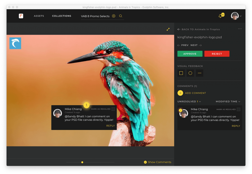 Zoom for Creators - Evolphin Learning Portal
