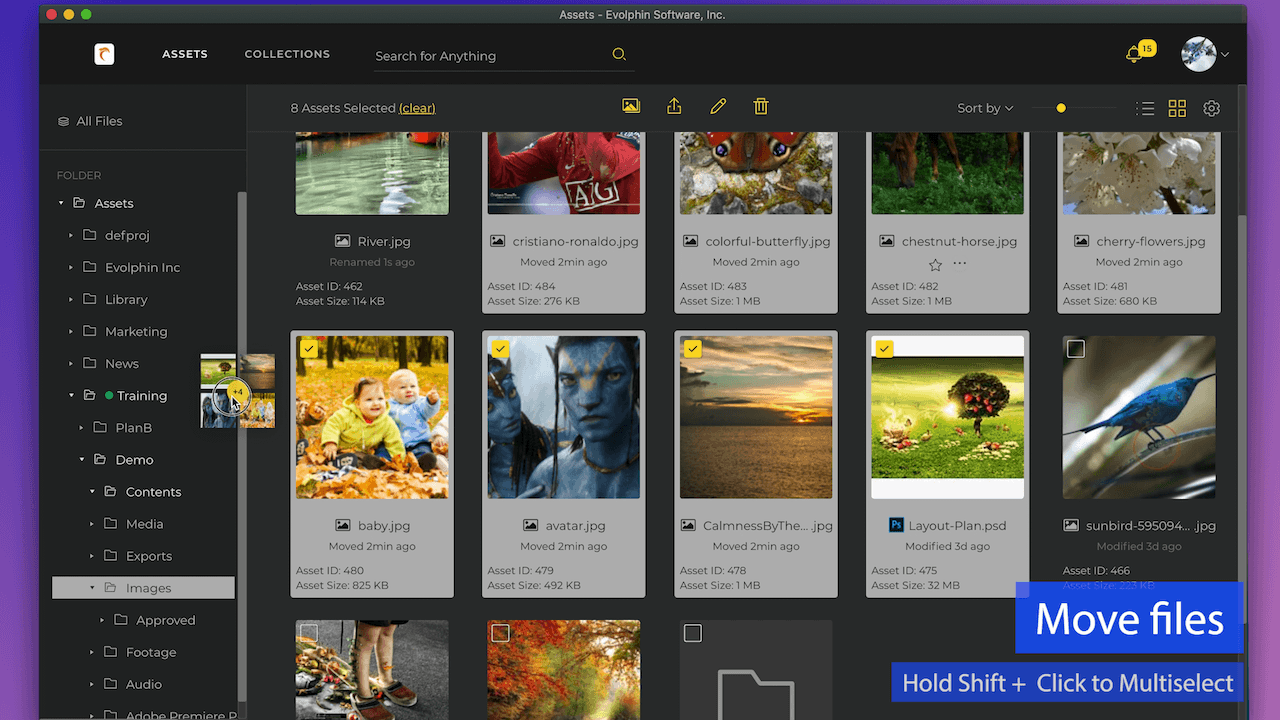 Move assets in the repository using the Zoom Desktop app - Evolphin ...