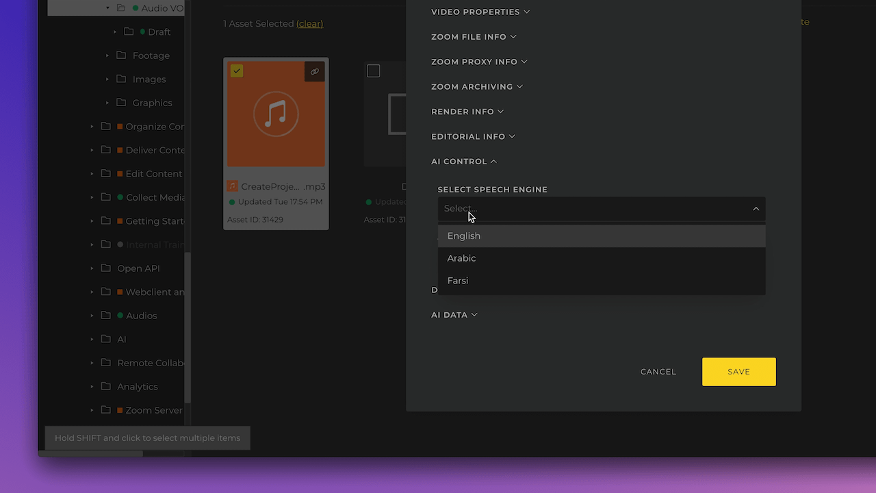 Using AI to Create Subtitles from an Audio Track - Evolphin Learning Portal