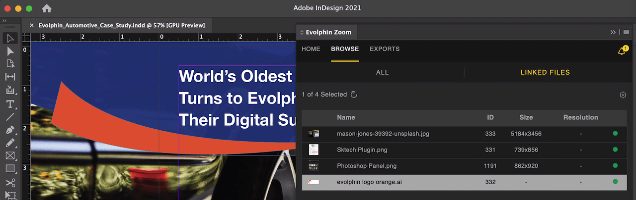 Zoom for Creators - Evolphin Learning Portal