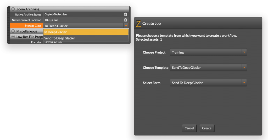 Circle Media Case Study - Evolphin